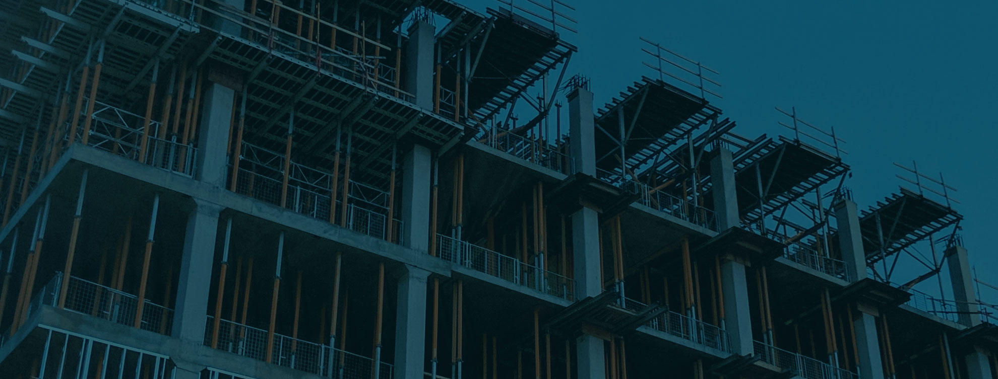 Services – Siphila Sonke