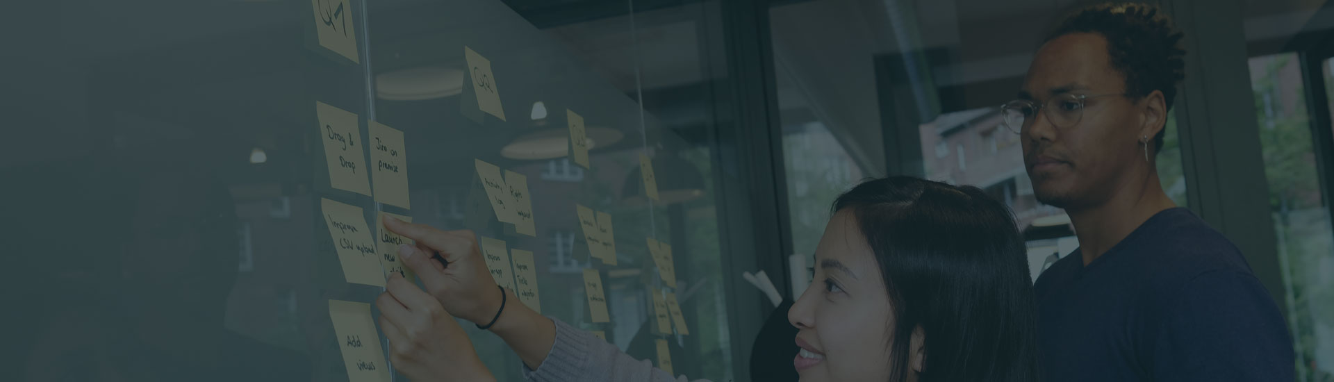 project management – Siphila Sonke